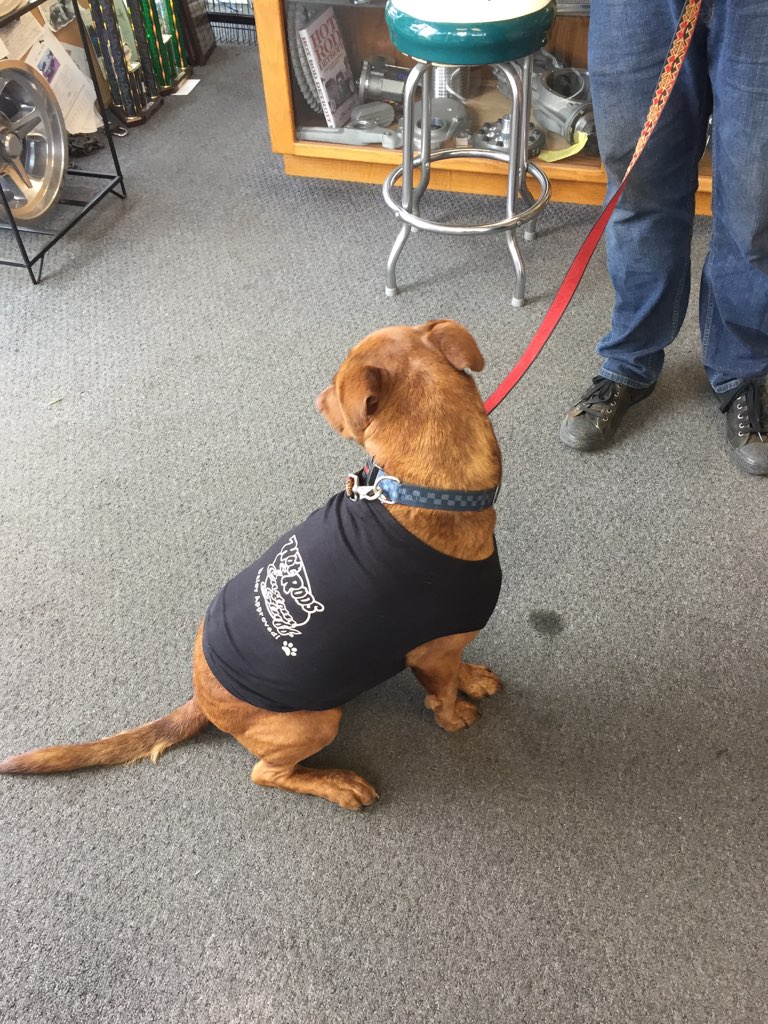 Daisy And Friends - Hot Rods & Custom Stuff Inc.